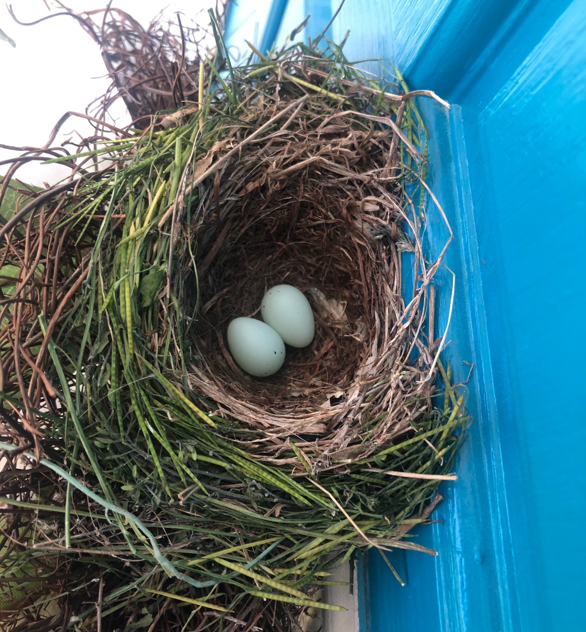 Bird sanctuary poem | lit bits and pieces