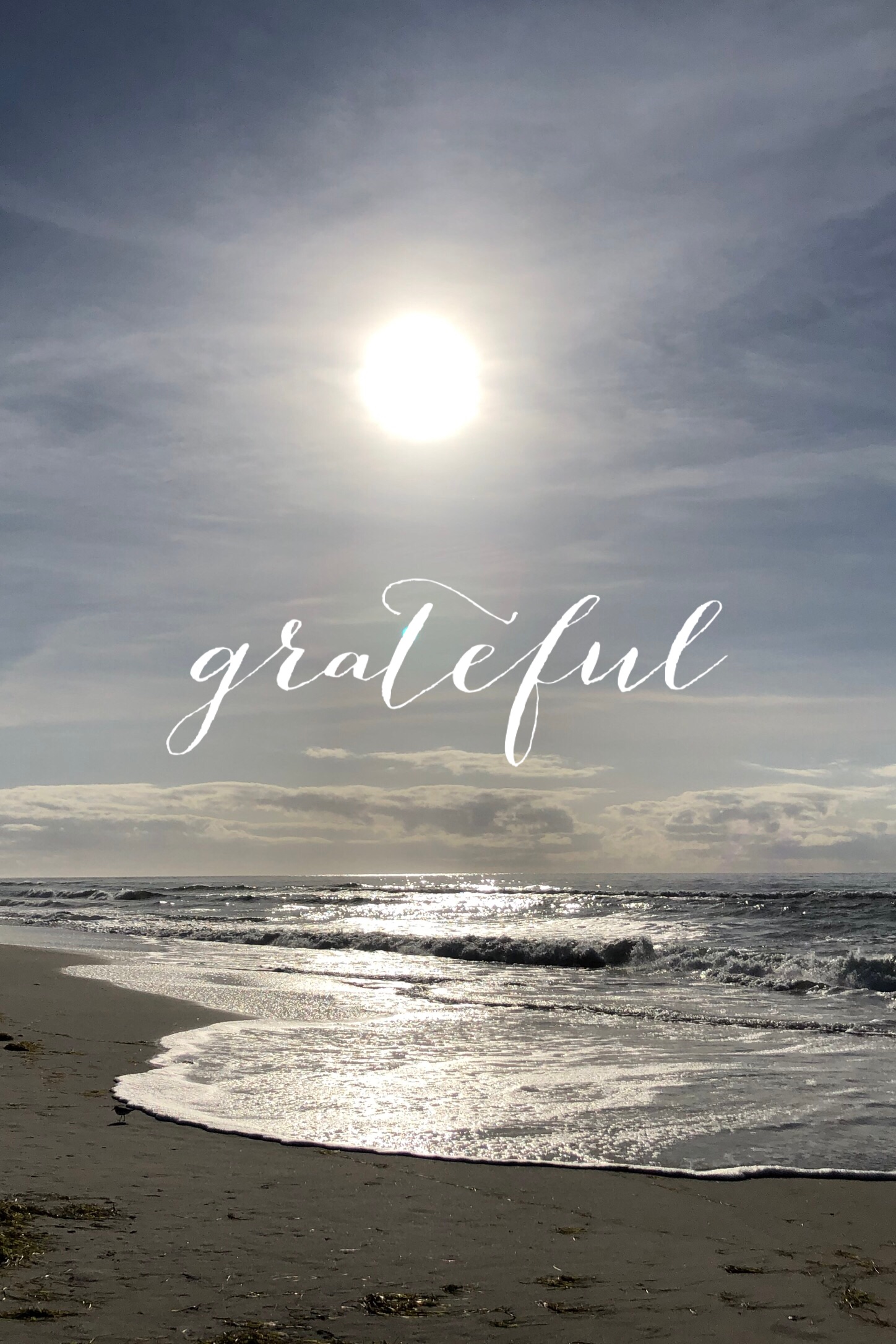 Rambling autobiography | lit bits and pieces