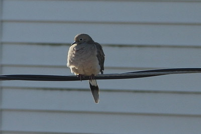 Bookends of winter days | lit bits and pieces