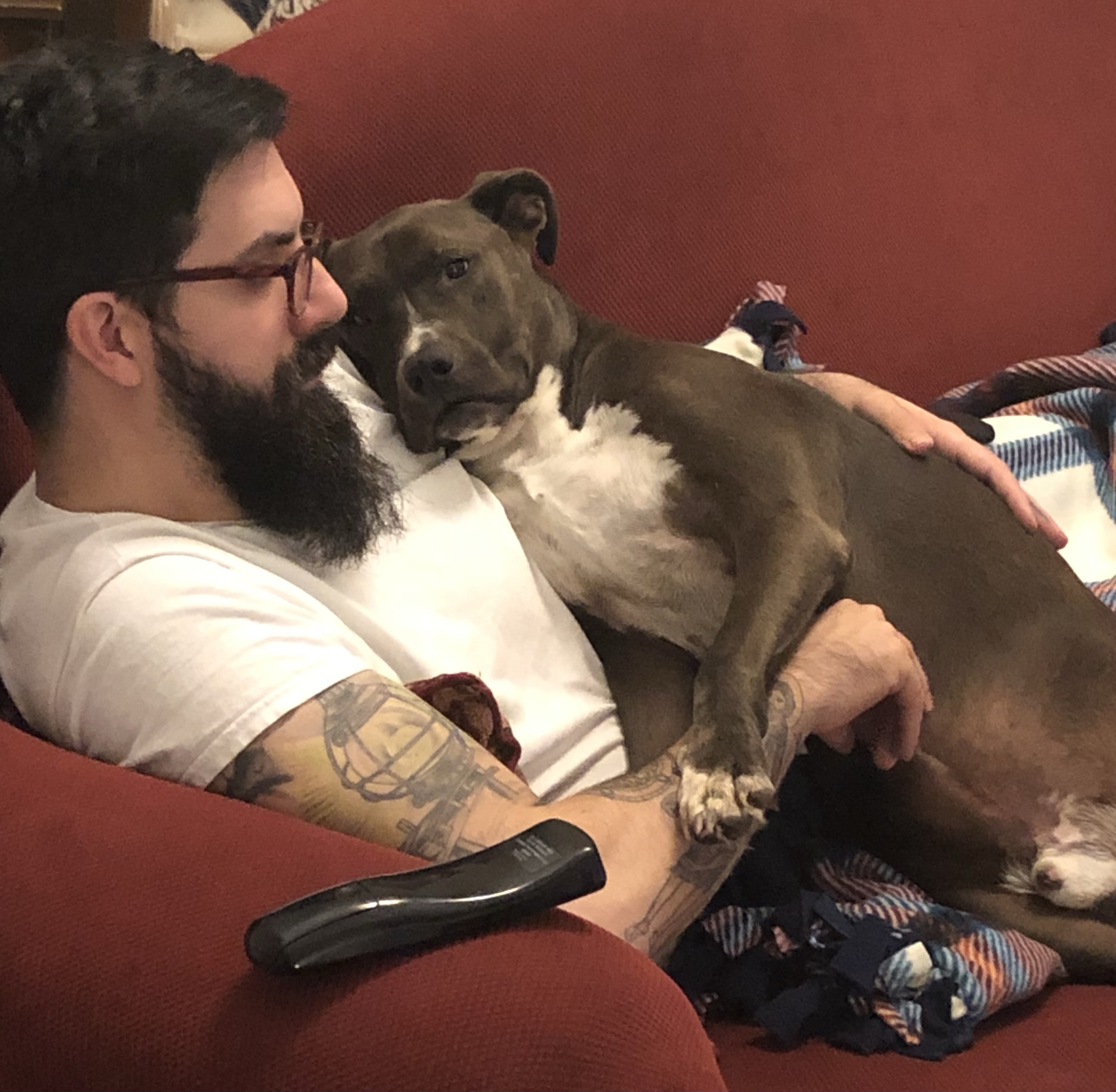 ‘Succinct truth’ poem | lit bits and pieces