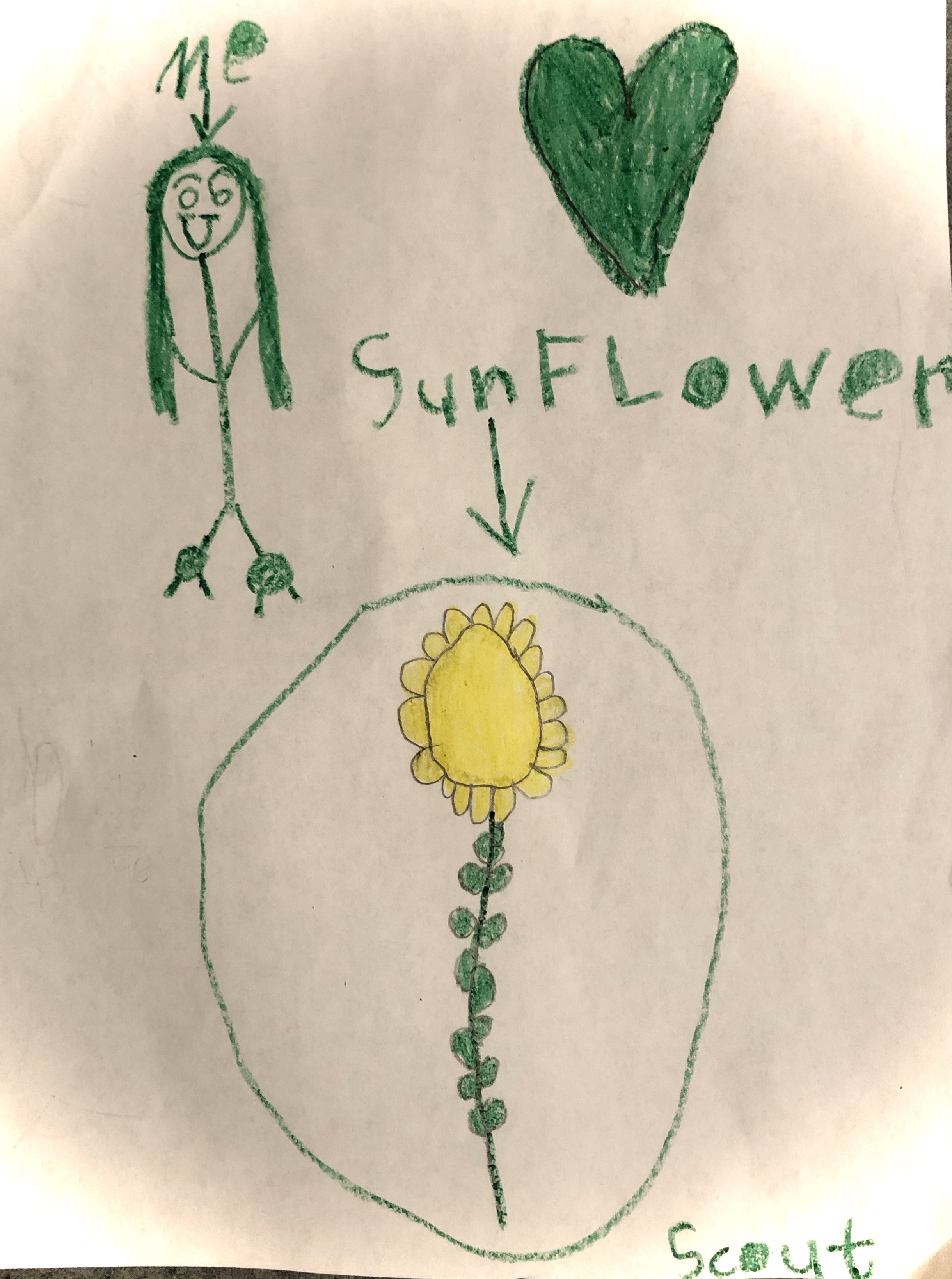 Sunflower acrostic | lit bits and pieces