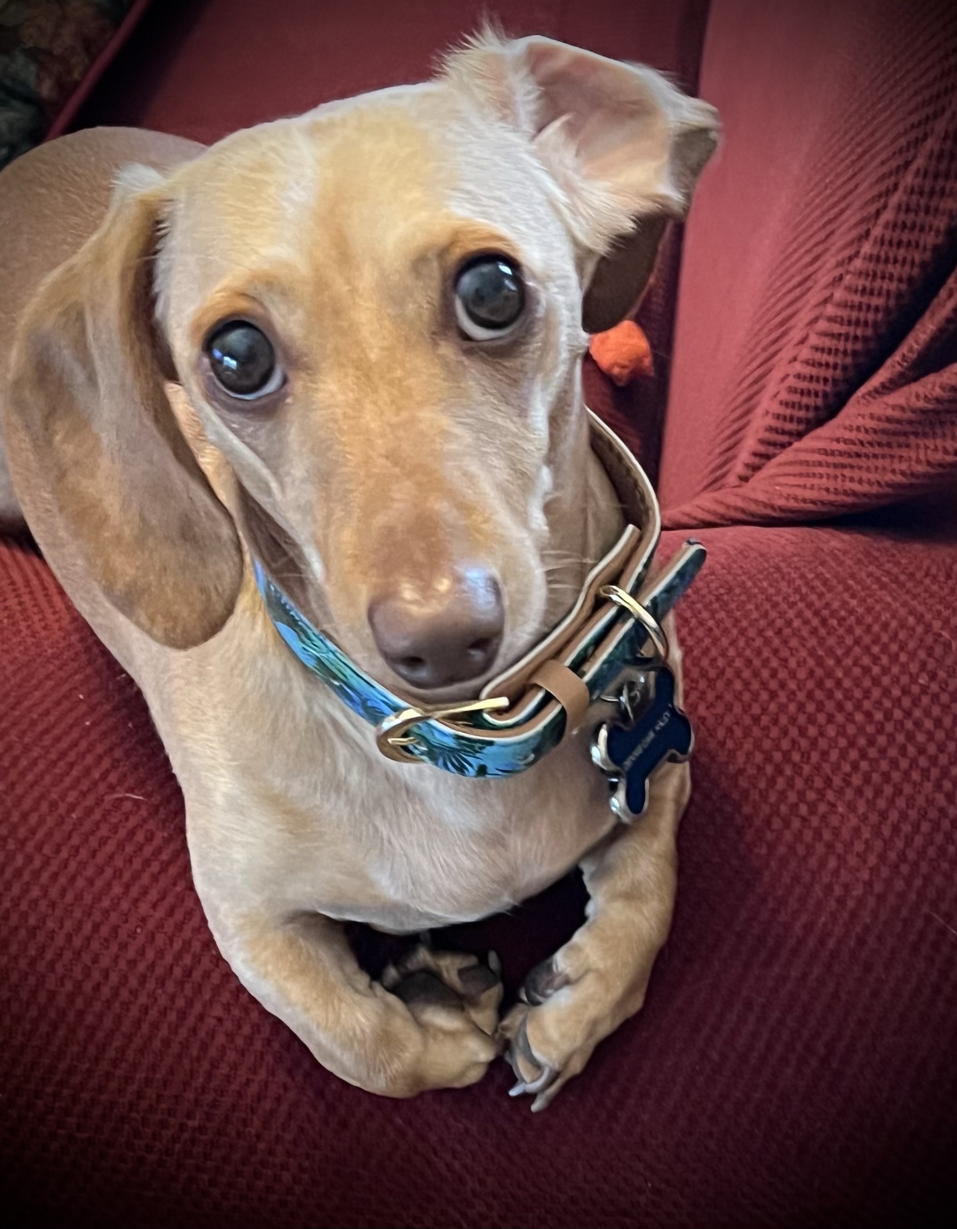 One word poem | lit bits and pieces