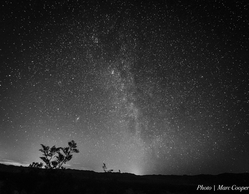 Night wind | lit bits and pieces