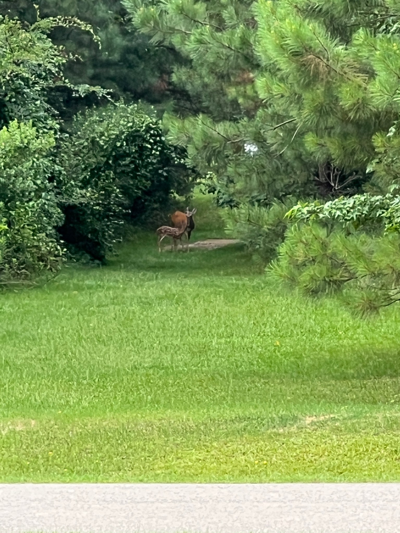 Home poem | lit bits and pieces